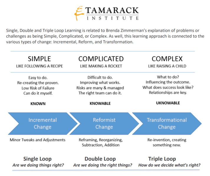 What are you learning about your learning? Applying triple loop learning to equity and inclusion.